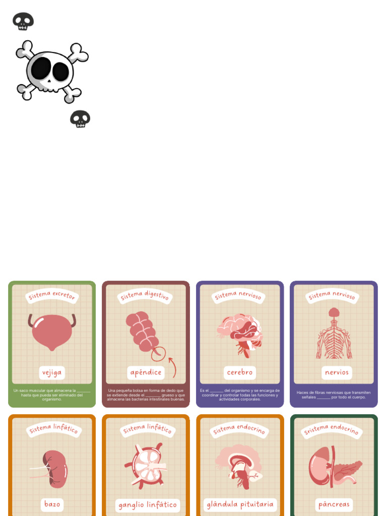 Sistemas de Órganos Anatomía Juego Flashcard en Rosa Beige Celeste ...