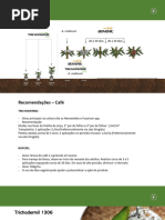 6d21e Bula Fox Xpro Fungicida | PDF | Embalagem e rotulagem | Armazém