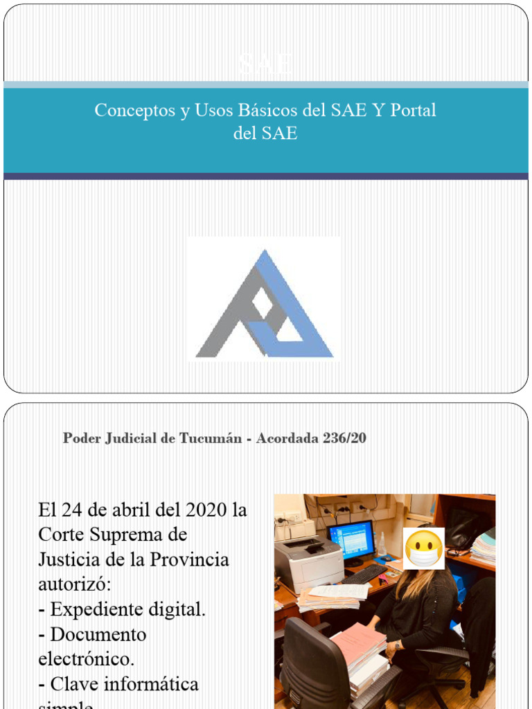 Usos del Sistema SAE y su Portal | PDF | Usuario (informática) | Contraseña