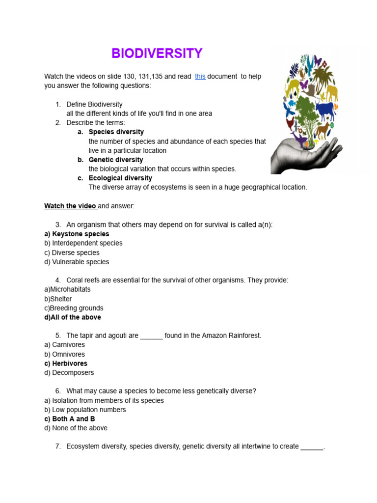 Copy of Biodiversity worksheet | PDF | Biodiversity | Ecosystem
