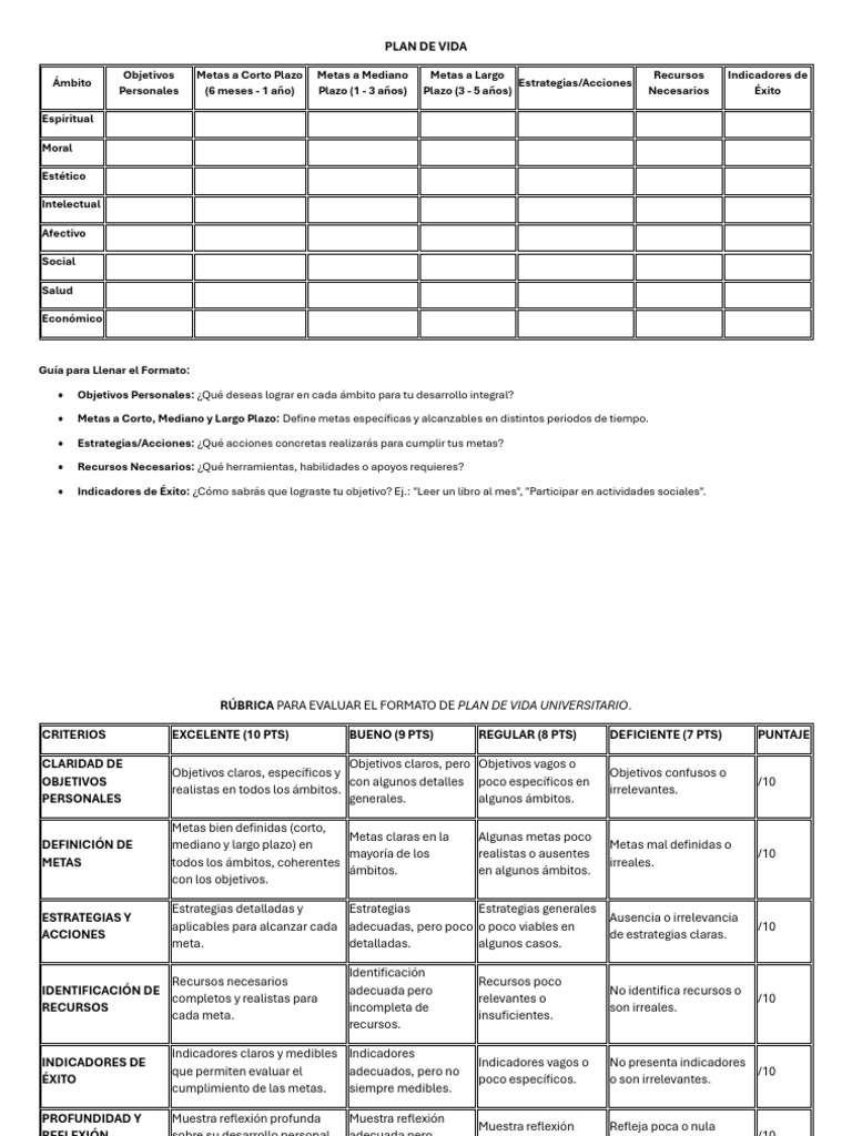 Plan de Vida. Formato para Rellenar | PDF