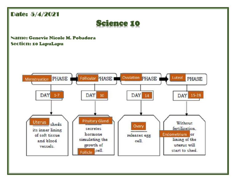 SCIENCE 10 Assignment 3.5 | PDF