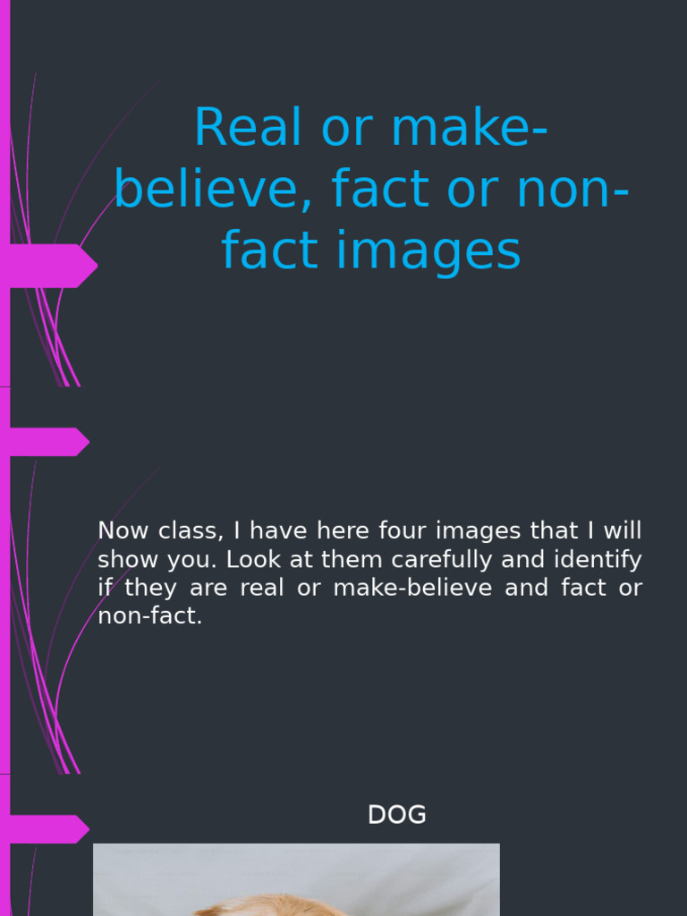Real vs. Make-Believe Images Guide | PDF