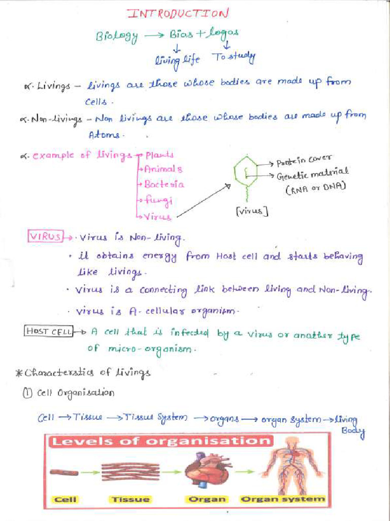 Bio Eng Notes - 493130 - Crwill | PDF