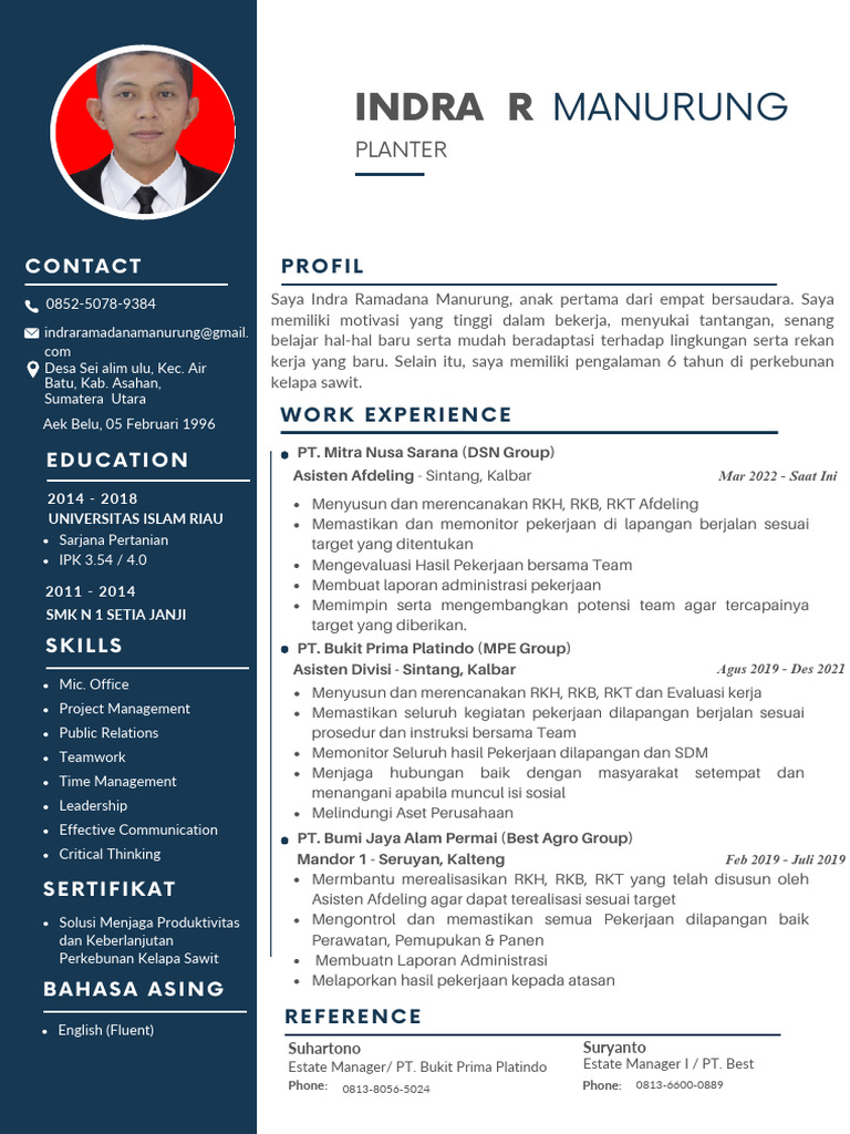 CV Indra R Manurung | PDF