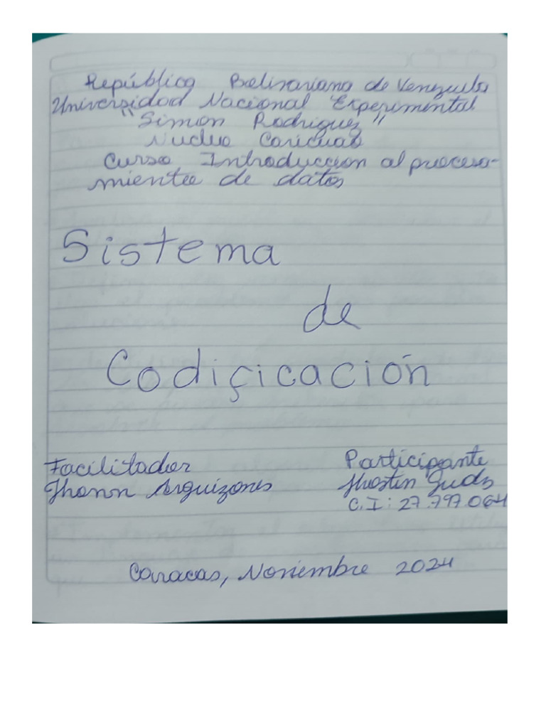 Unidad III Sistema de Codificacion | PDF