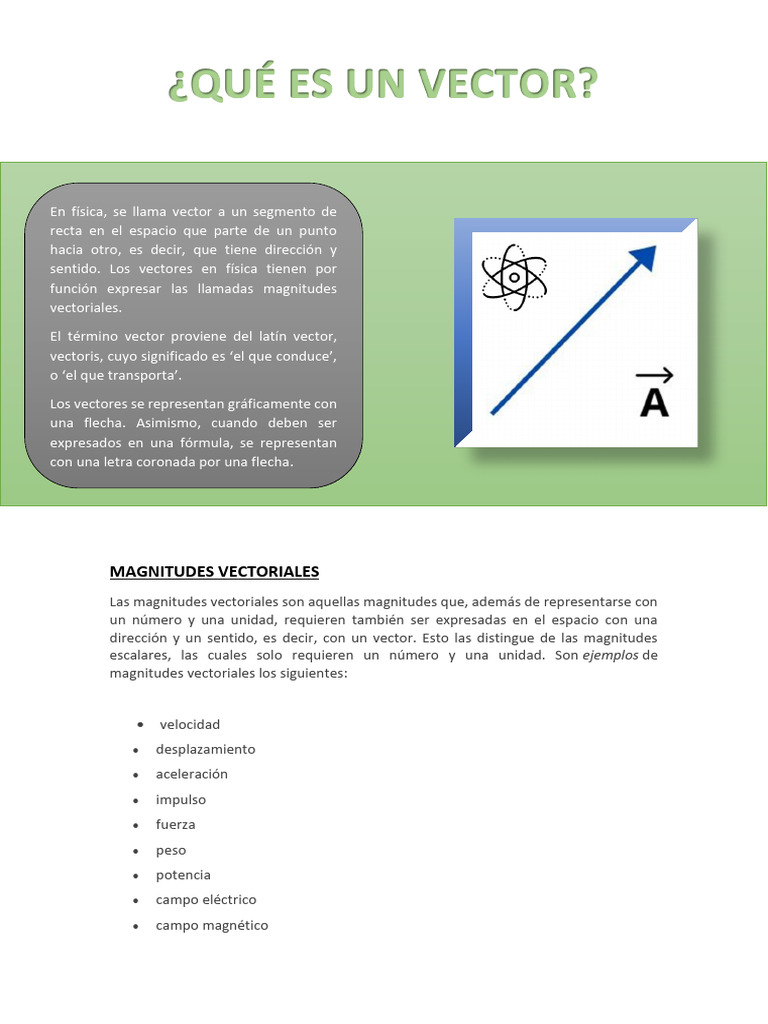 Conceptos Básicos de Vectores | PDF | Vector Euclidiano | Cantidad