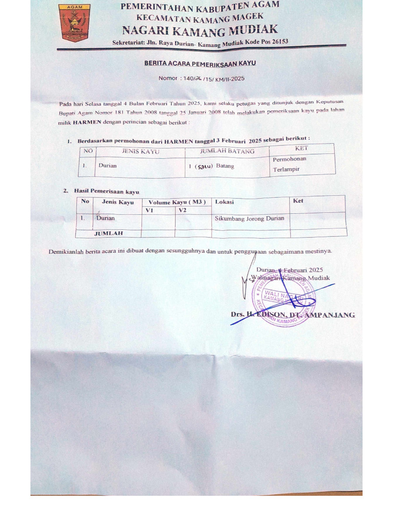 ACE Scanner_2025_02_20 (1) | PDF