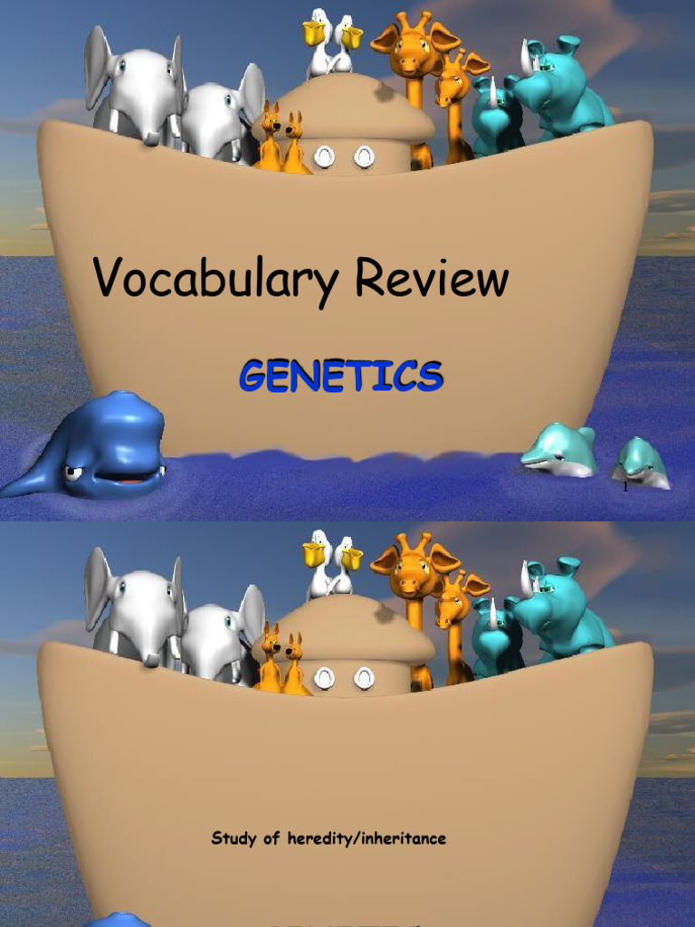 Genetics Vocabulary Review Guide | PDF | Dominance (Genetics) | Genotype