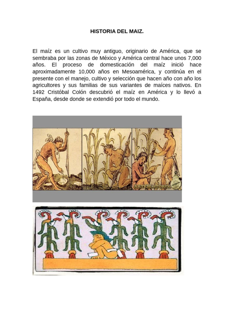 Historia Del Maiz | PDF