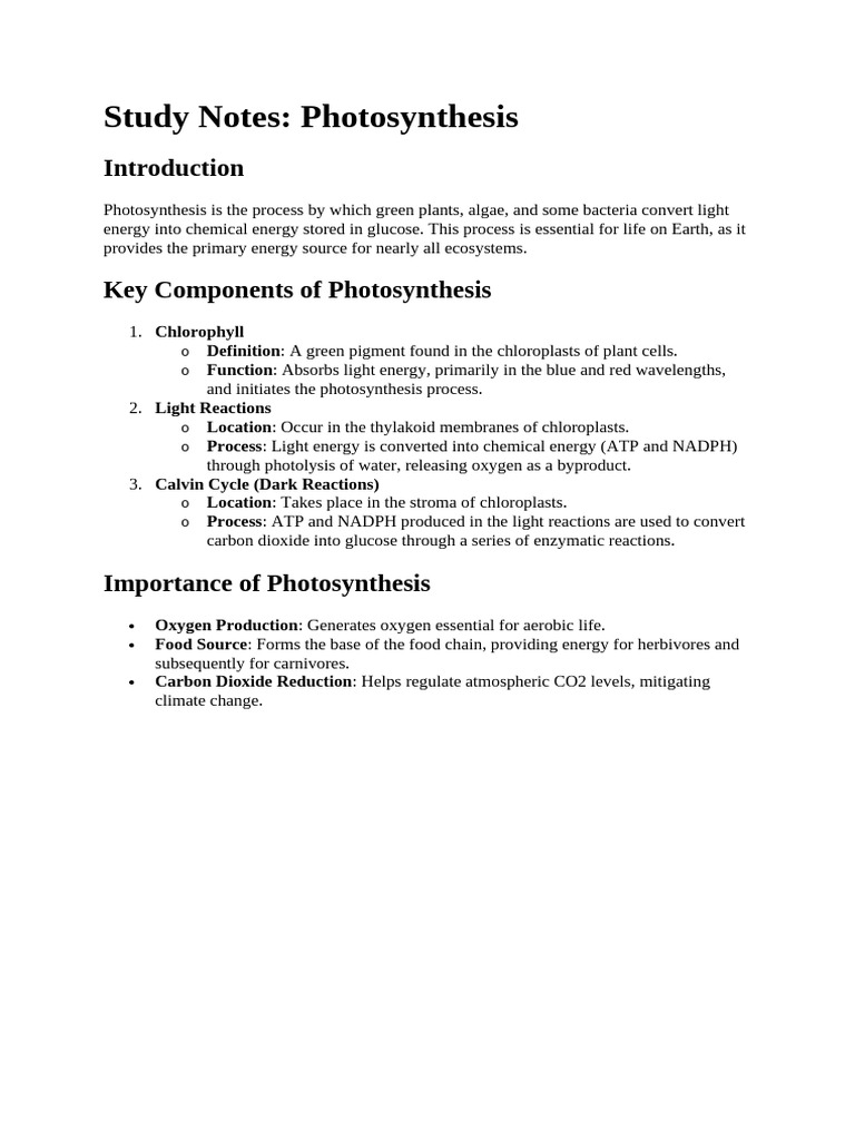 Understanding Photosynthesis Process | PDF
