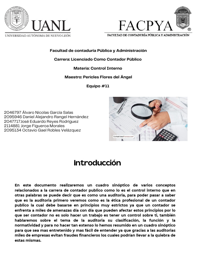 EQ11_CONTROLINT_CS | PDF | Auditoría | Business