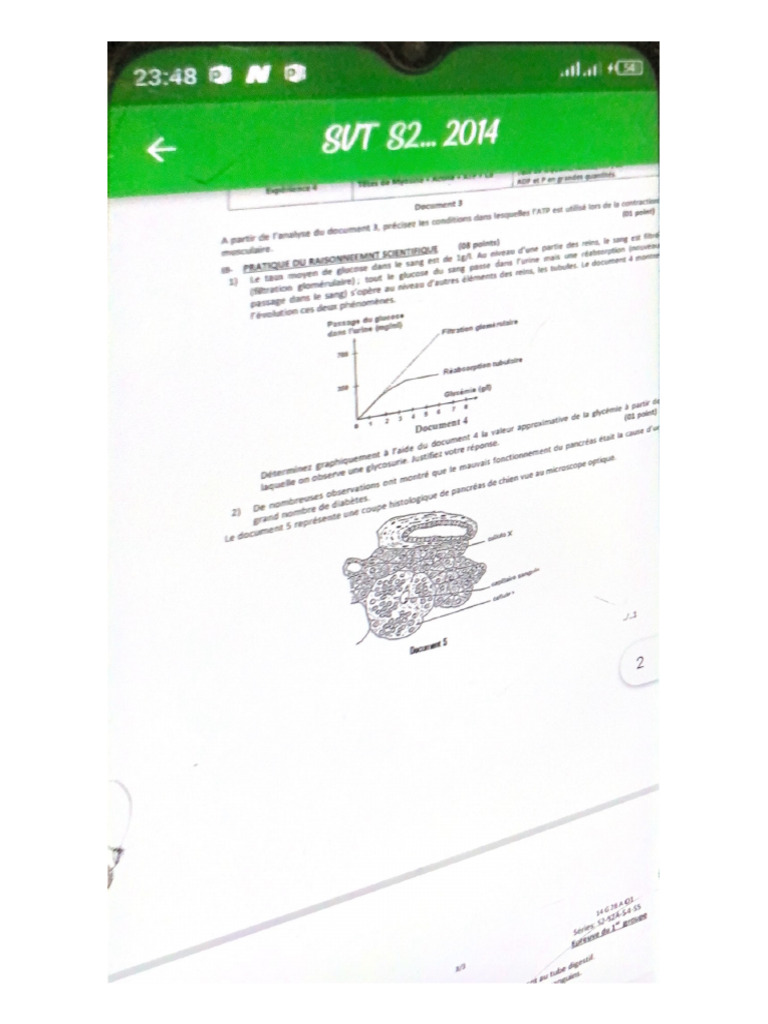 Bac 2014 | PDF