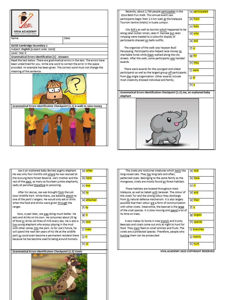 Errors Identification (1) - Answers | PDF