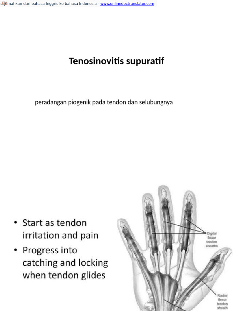2.1 Tenosynovitis Suppurative.en.Id | PDF