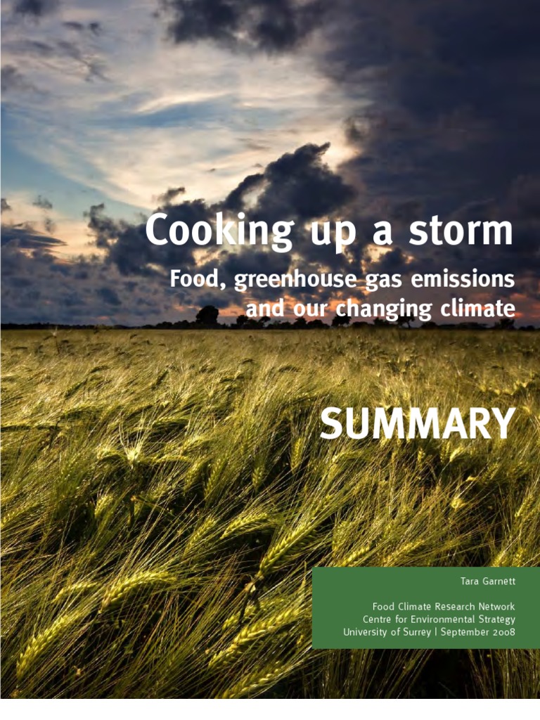 Cooking Up A Storm UK Report 0908 | PDF | Greenhouse Gas | Agriculture