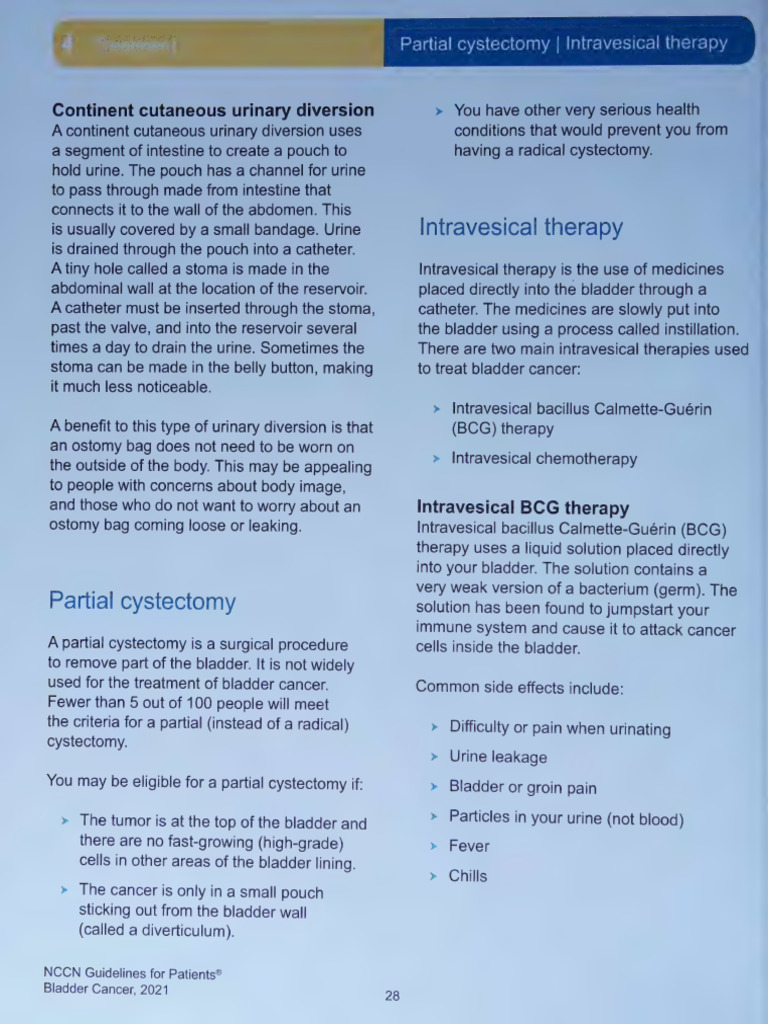 58.NCCN Guidelines for Patients® Stomach Cancer -- National ...