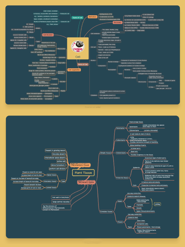 Biology mind map | PDF