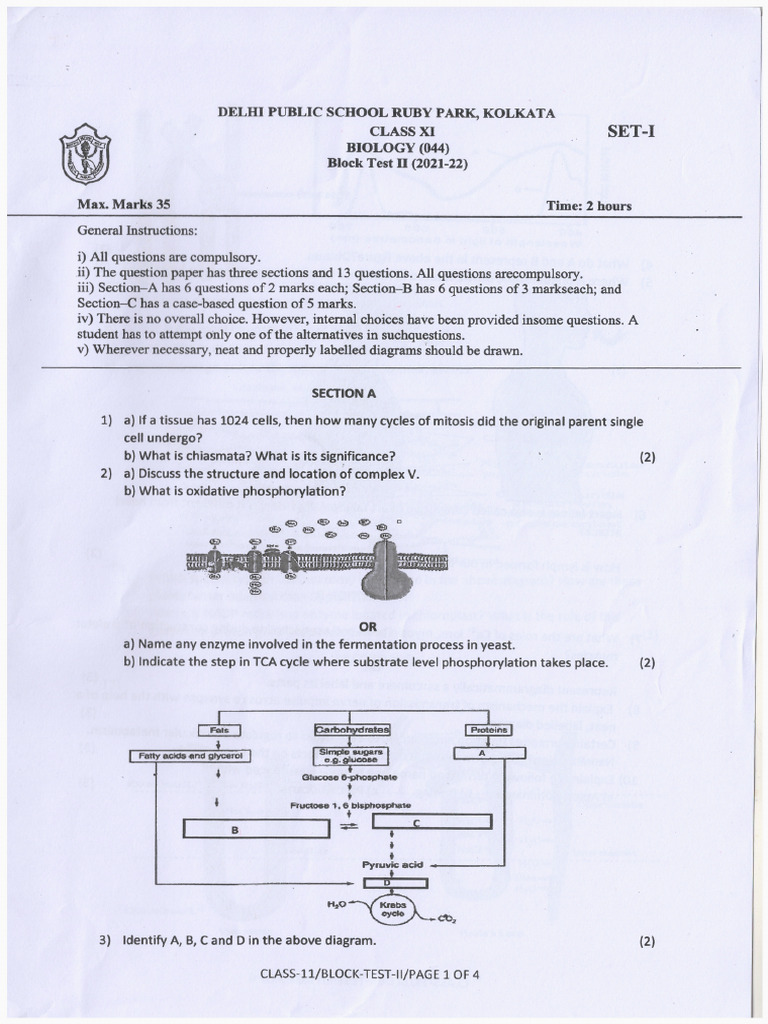 CL 11 Biology Term 2 2021-22 | PDF