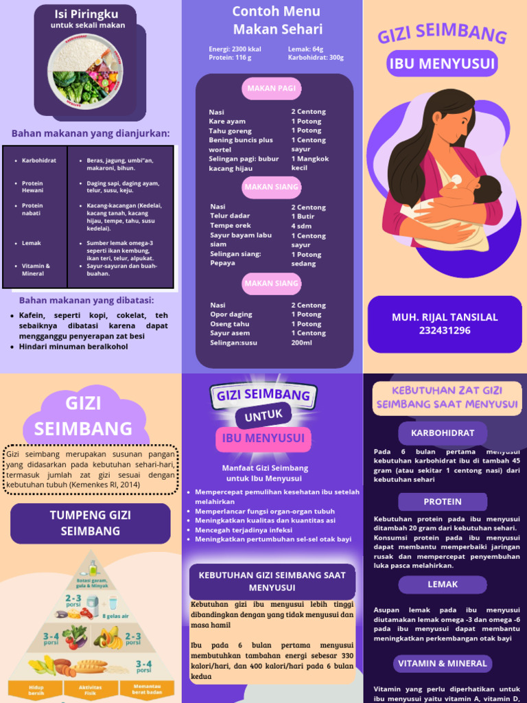 Leaflet Gizi Seimbang Untuk Ibu Menyusui | PDF