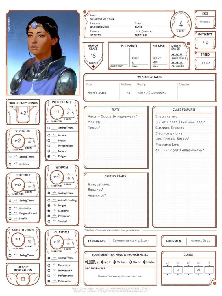 Niko Character Sheet | PDF | Dungeons & Dragons | D20 System