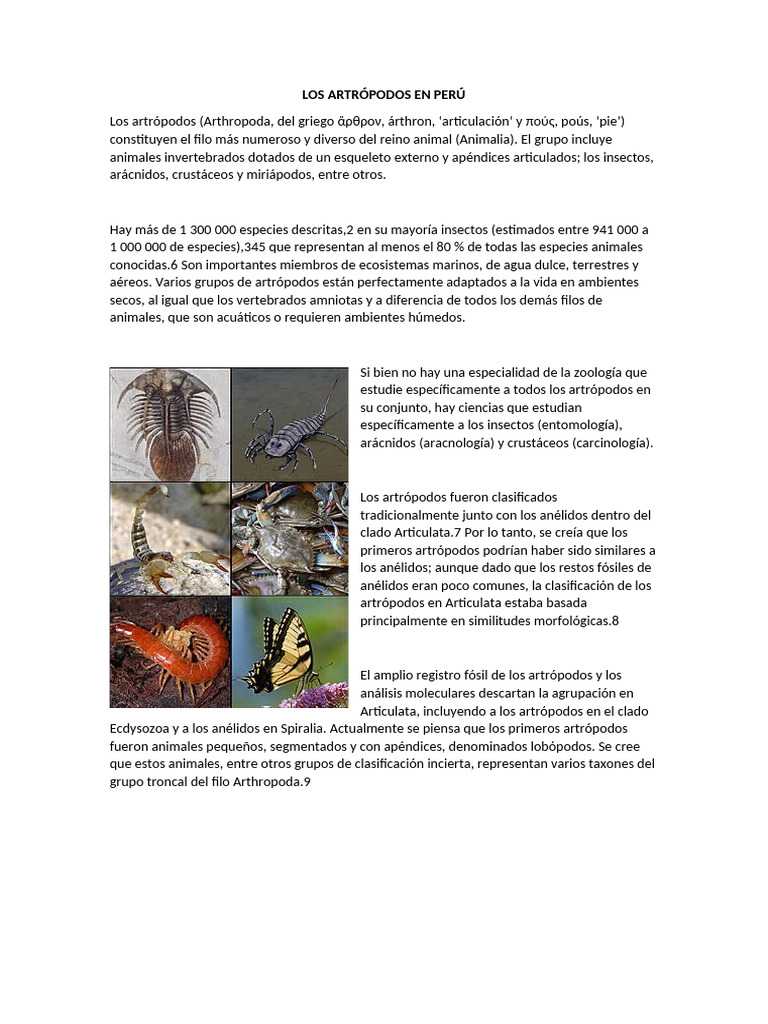 Artrópodos en Perú: Diversidad y Clasificación | PDF | Primeras ...