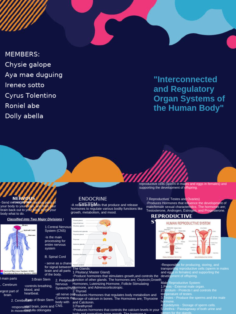 Vivid-shapes-event-brochure | PDF | Hormone | Reproductive System
