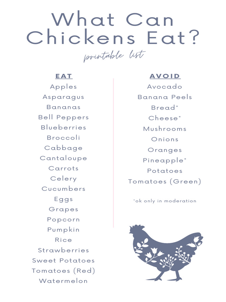 Chicken Food Safety Guide | PDF