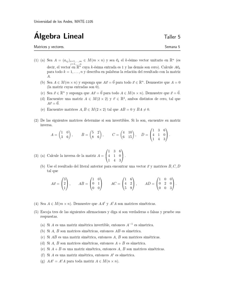 Taller Álgebra Lineal: Matrices y Vectores | PDF | Matriz (Matemáticas ...
