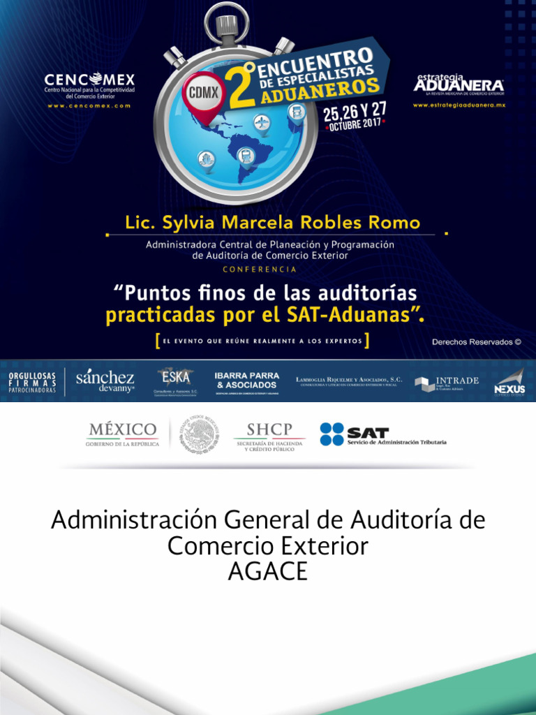 06 Marcela Robles Romo - Puntos Finos auditorías Electrónicas | PDF