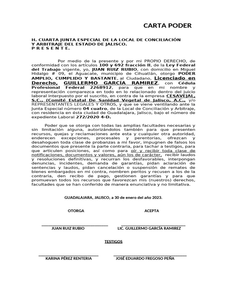 Carta Poder Laboral | PDF | Justicia | Crimen y violencia