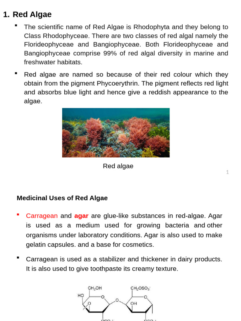 Week 12. Drugs Derived From Macro-Algae | PDF