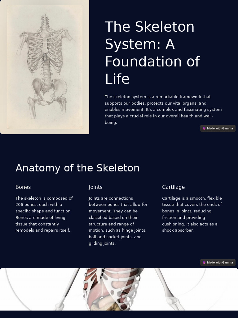 The Skeleton System A Foundation of Life | PDF | Bone | Skeleton