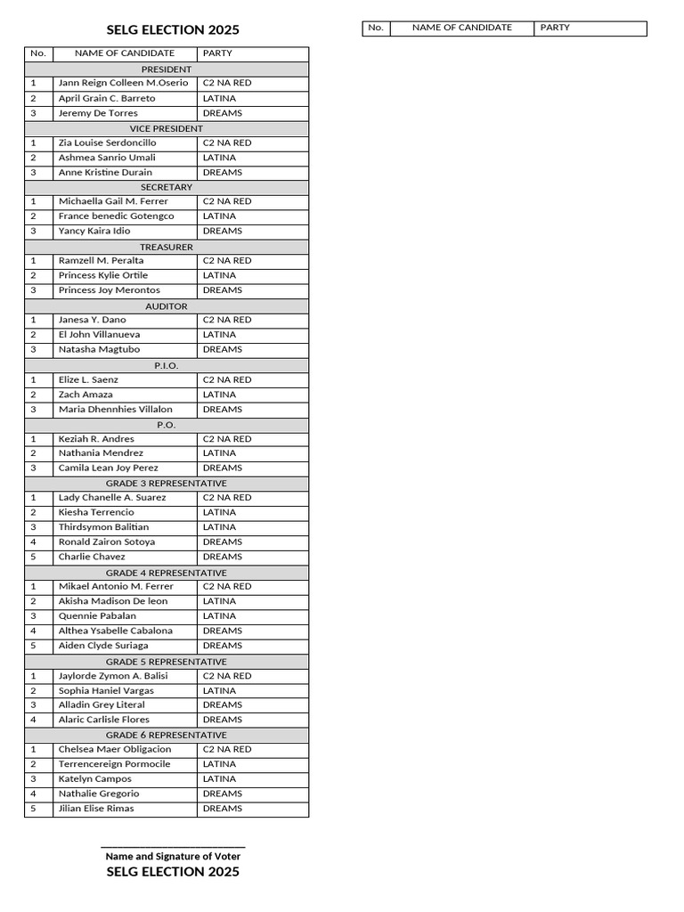Selg Election 2025 Ballot | PDF