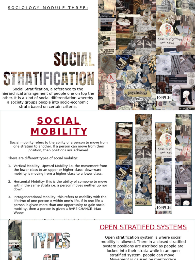 Social Stratification - Sociology | PDF | Social Stratification | Max Weber