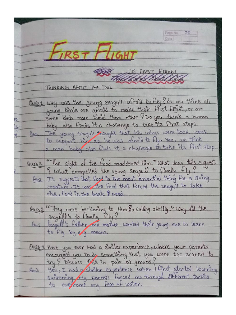 Edited - English CH 3 Two Stories About Flying | PDF