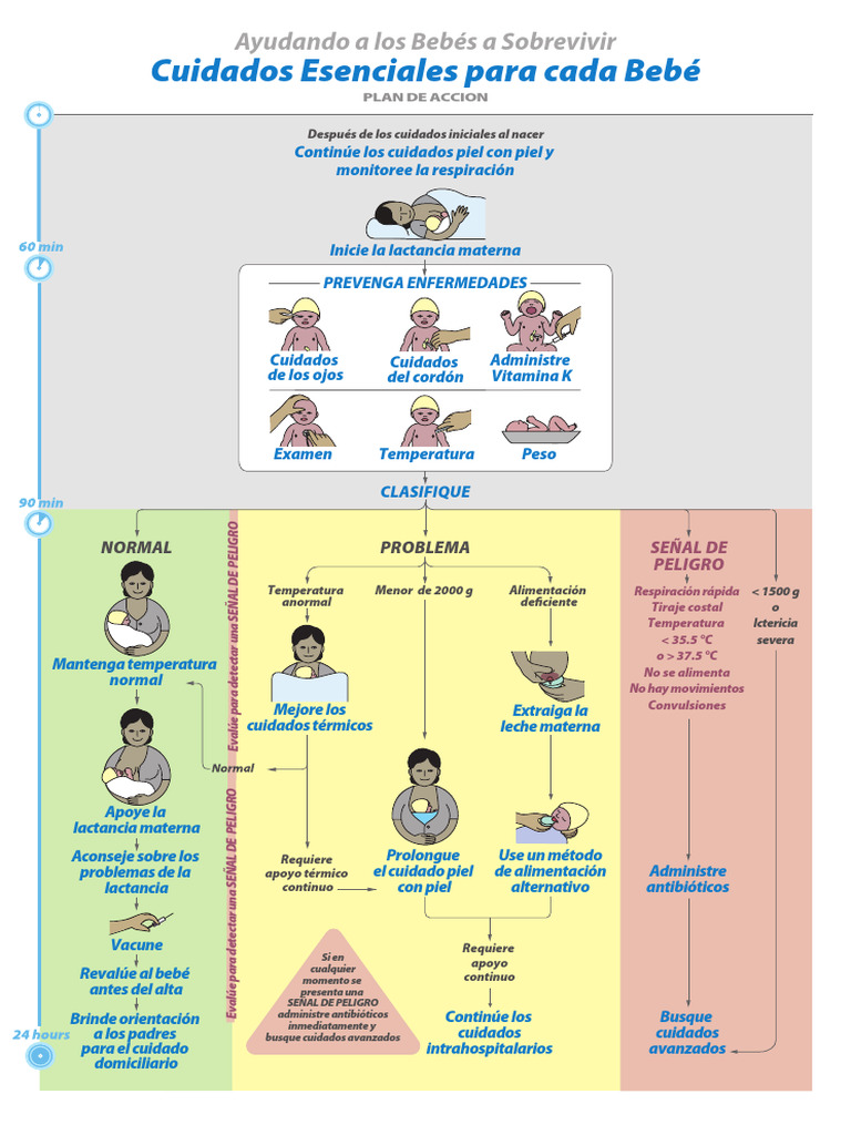 CPlan de accion cuidados esenciales | PDF | Especialidades Medicas