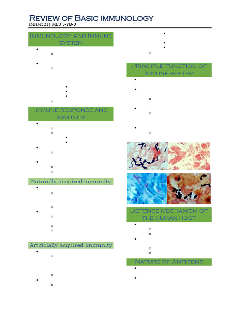 Reviewer_Review of Basic Immunology | PDF | Immune System | Adaptive ...