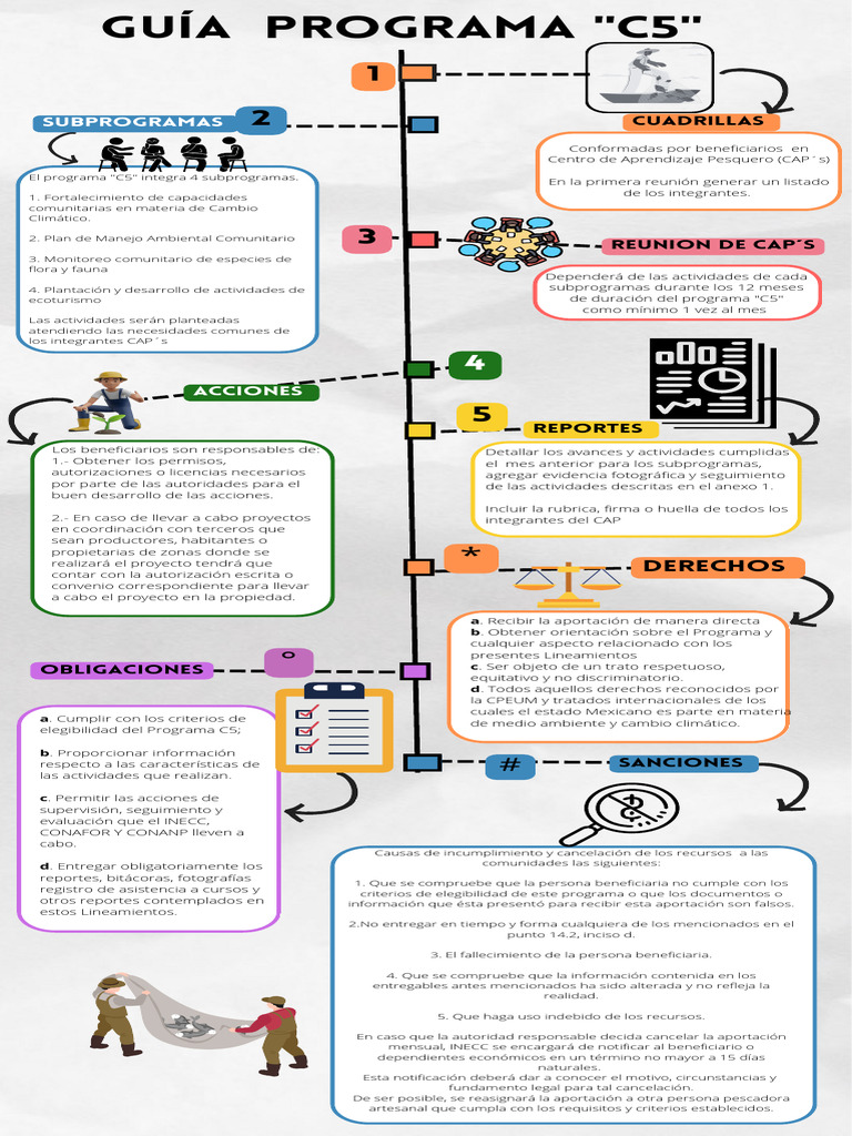 C5 Guía-Programa | PDF