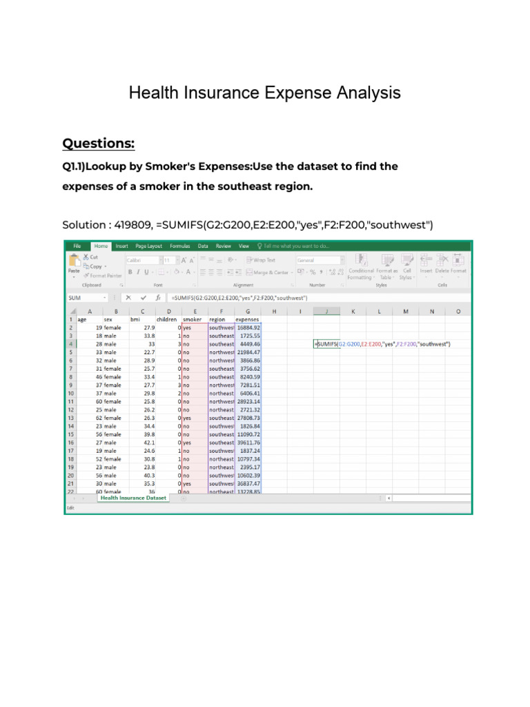 Health Insurance Expense Dashboard Guide | PDF | Microsoft Excel ...