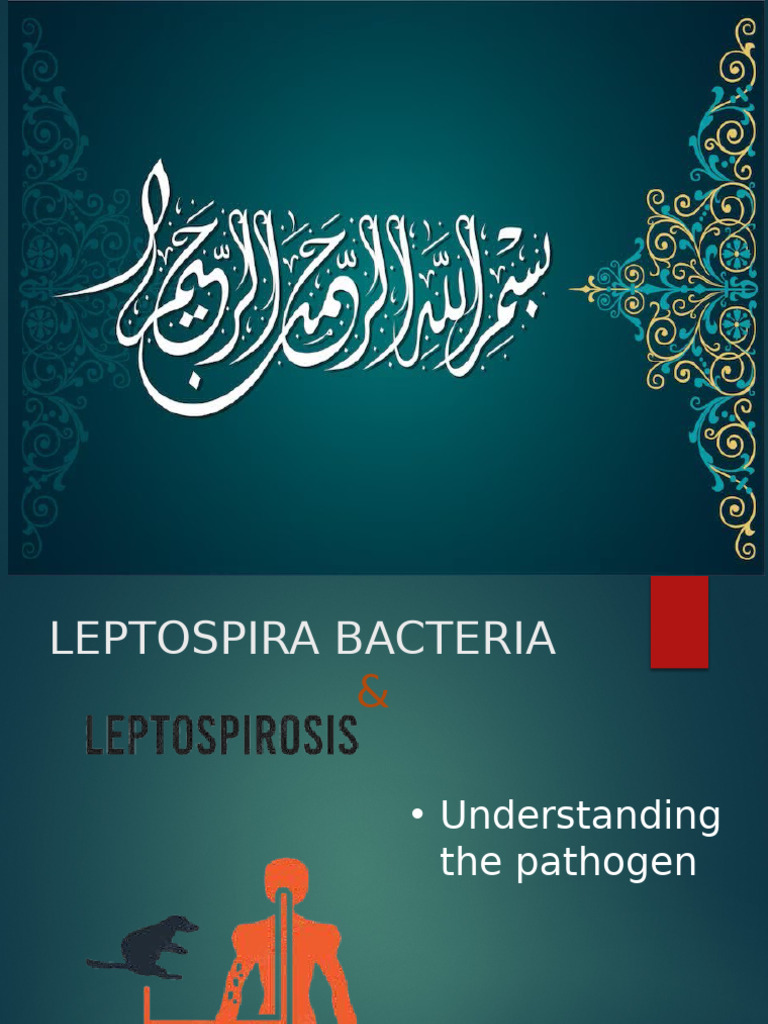 Leptospira Bacteria & Leptospirosis Guide | PDF