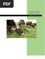 Ficha Técnica Del Pasto Guinea (Panicum Máximum Cv. Guinea Común) | PDF