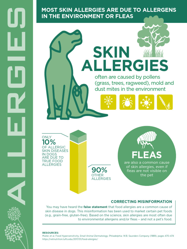 Hills Allergies Skins Causes | PDF