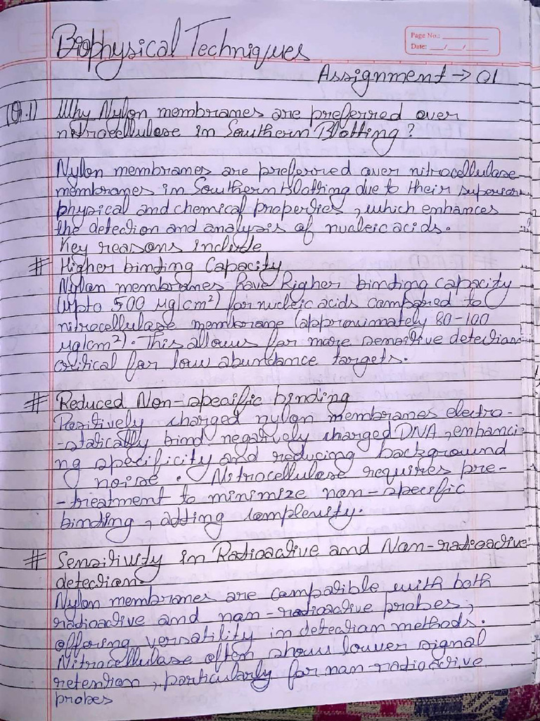 Biophysical Assignment Dr01 Compressed | PDF