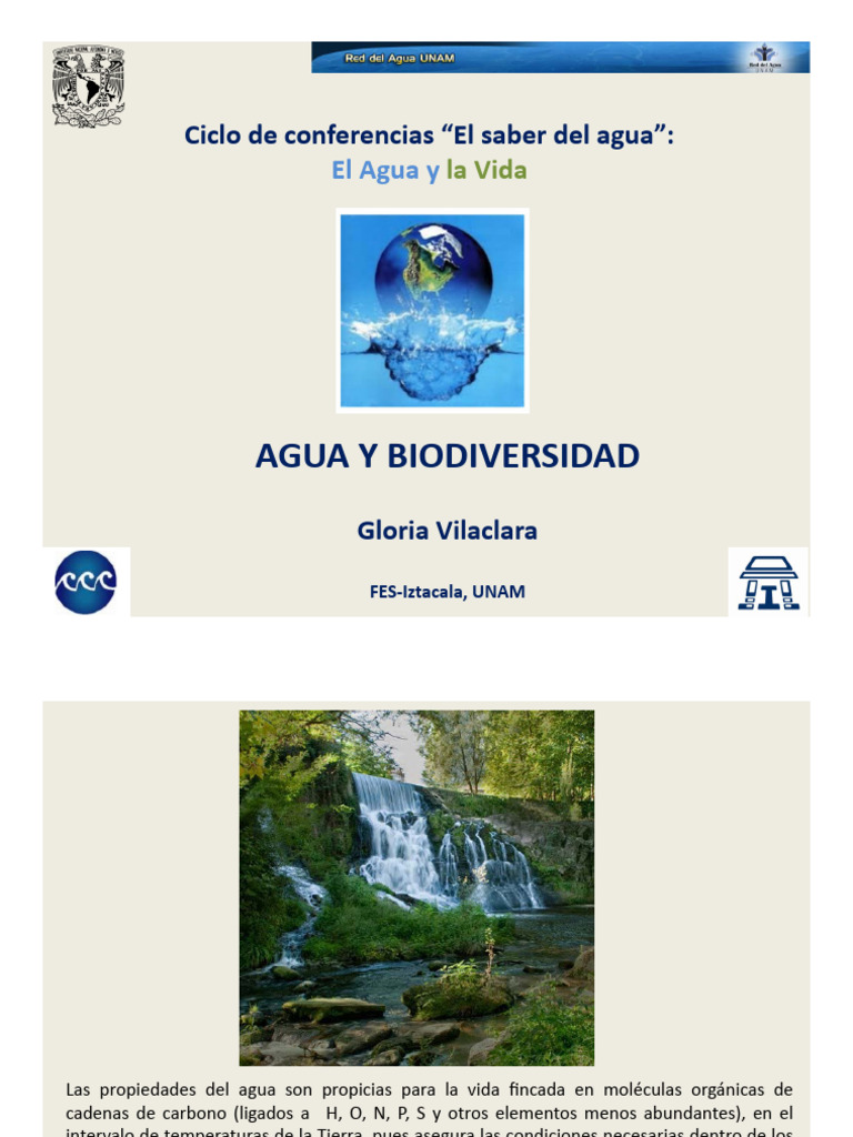 Propiedades Del Agua | PDF | Agua | Polaridad química