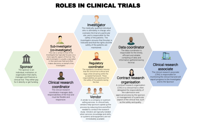 PDF Version of The Inforgraphic | PDF | Clinical Trial | Clinical Research