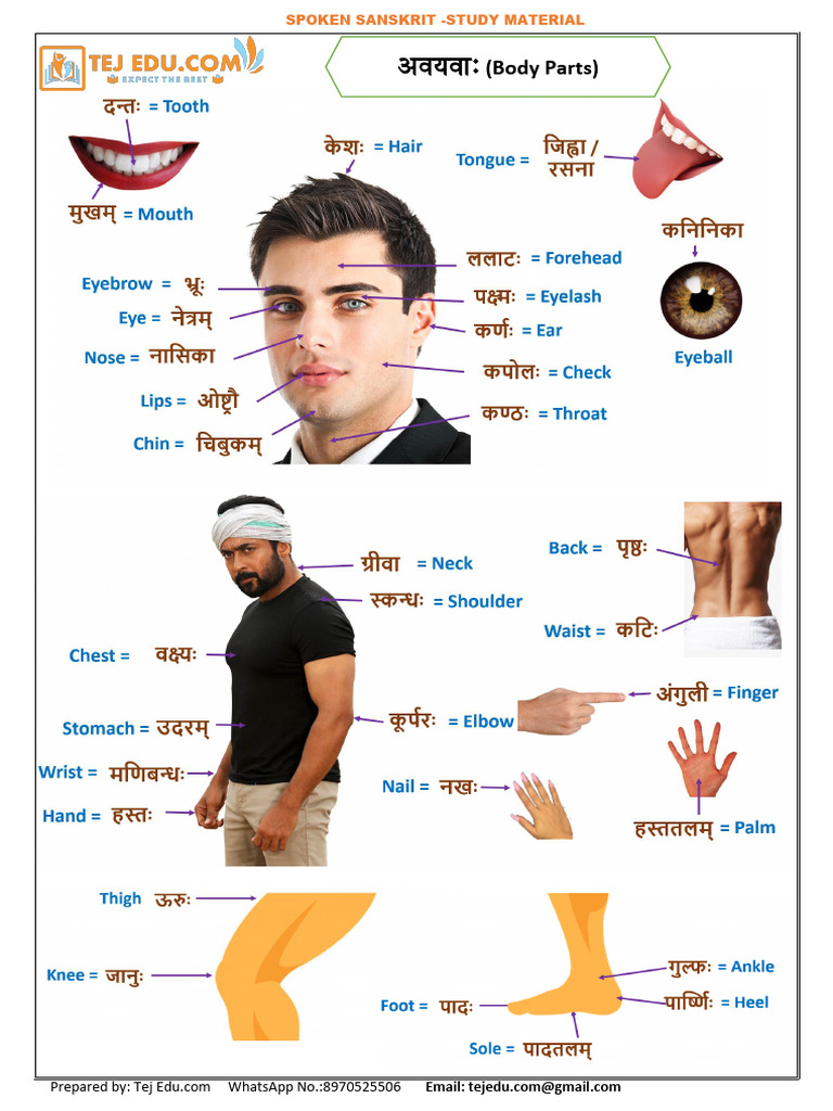 Learn sanskrit-Body parts | PDF