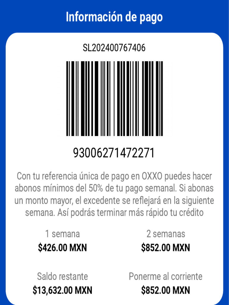 Pago y Abonos en OXXO | PDF
