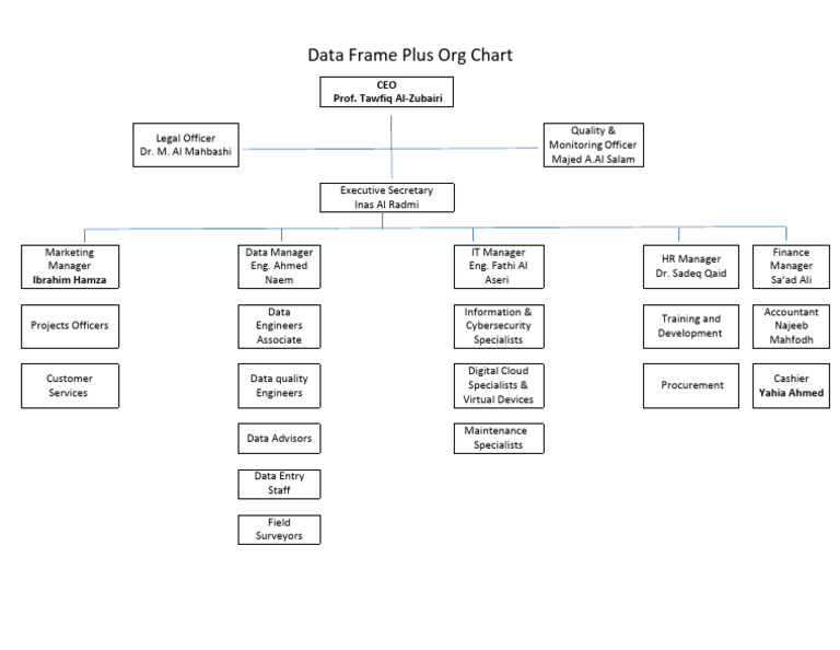 Data Frame Plus Org Chart | PDF | Information Technology Management ...