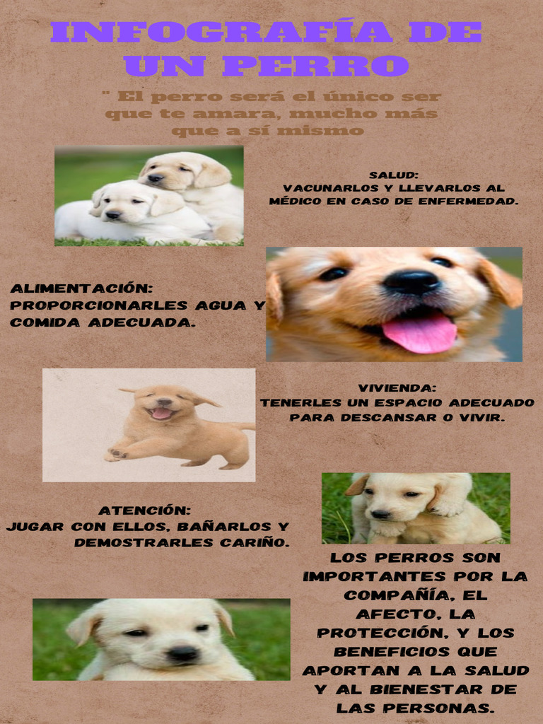Infografía de un perro_20250211_045747_0000 | PDF